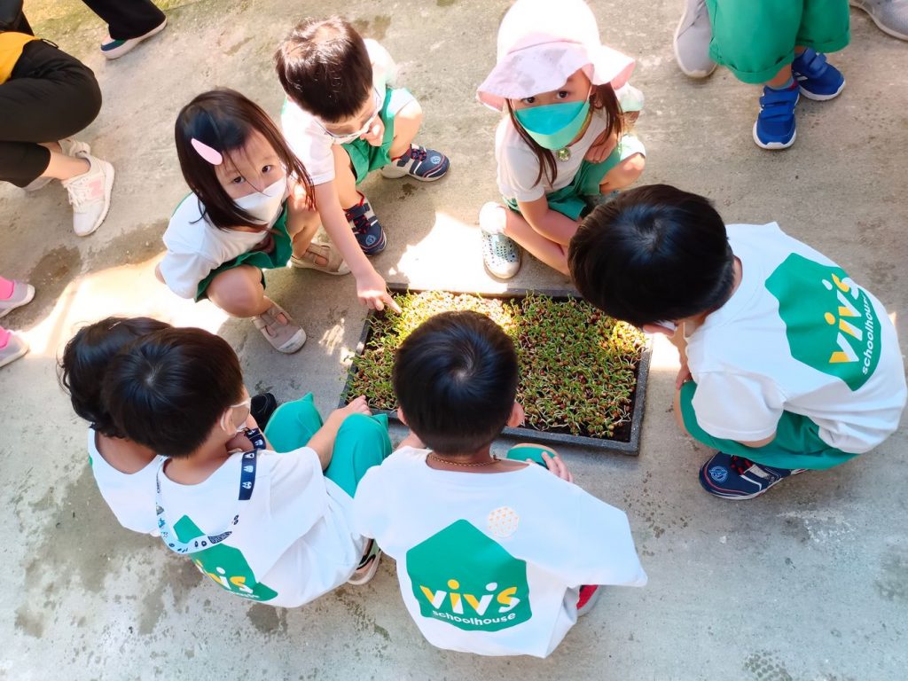 Viv’s Schoolhouse Excursions: A Creative Way to Learn