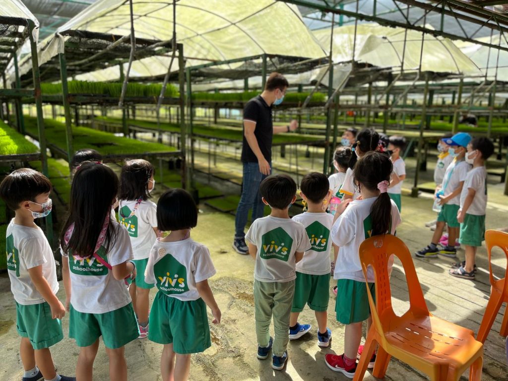 Viv’s Schoolhouse Excursions: A Creative Way to Learn